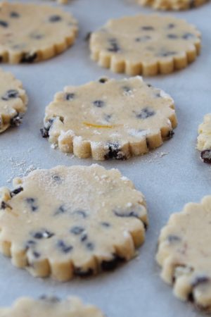 No Shrews Where Harmed in The Making of This Biscuit !! – Clares Cauldron